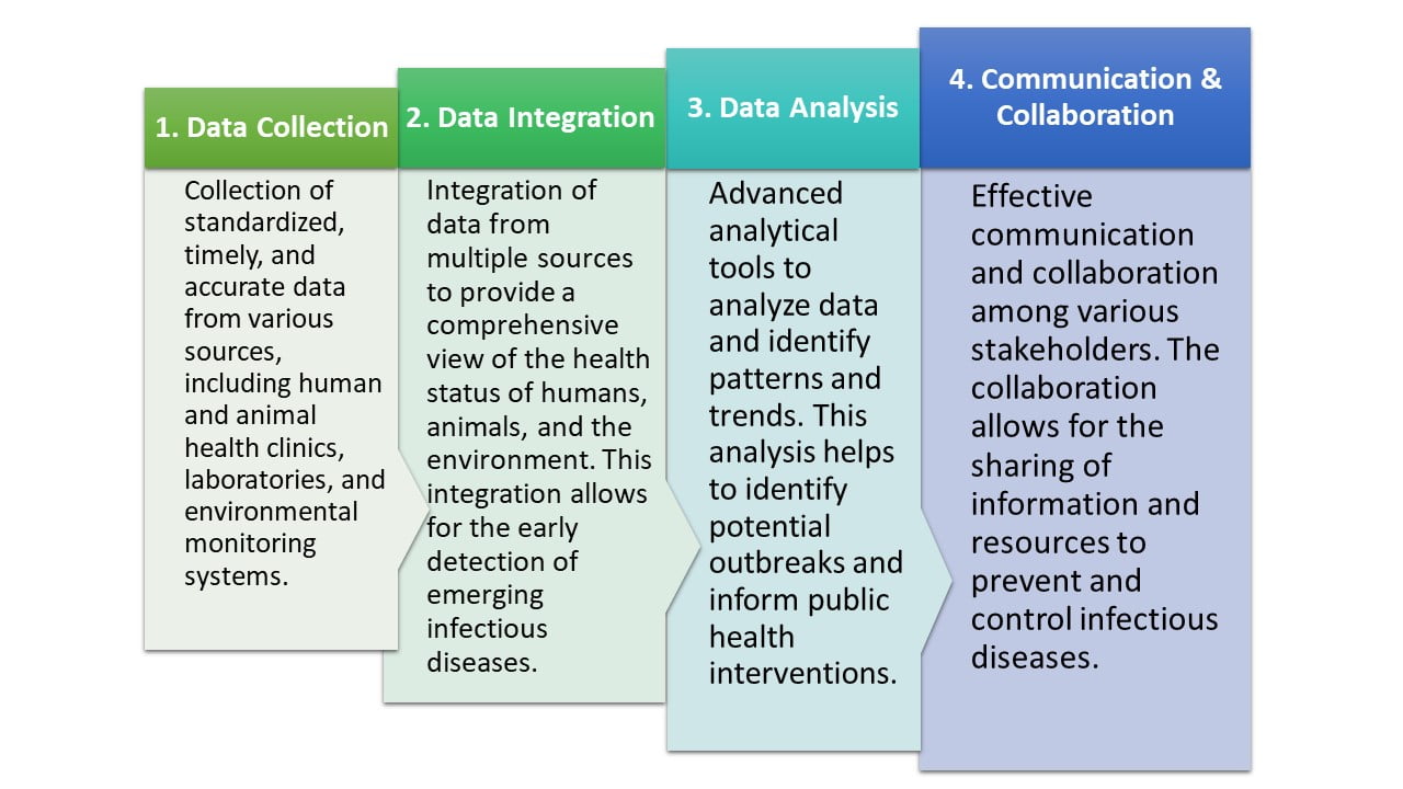 One Health Surveillance Systems: Strategies to Minimize Diseases