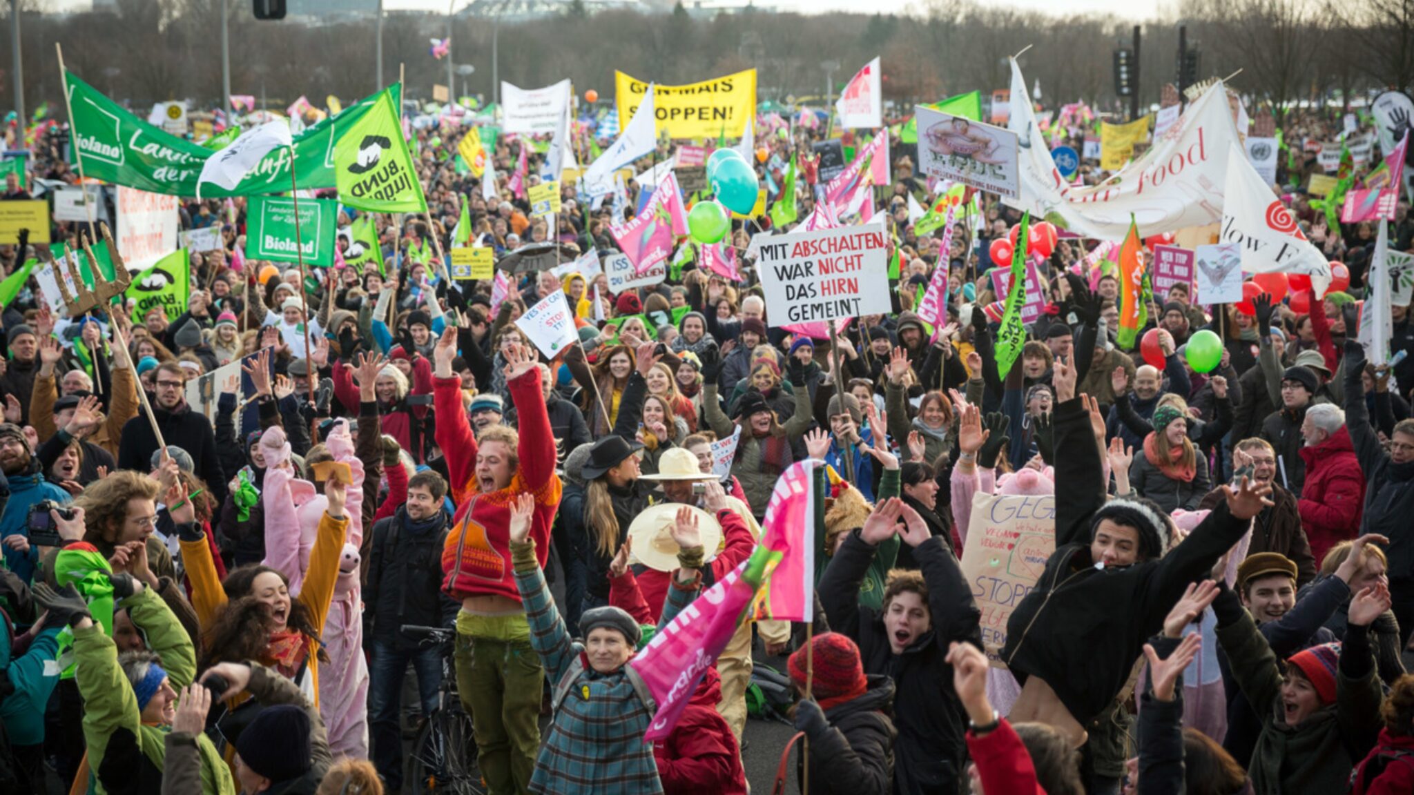 20 Major Environmental Movements of the World