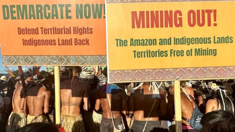 20 Major Environmental Movements of the World