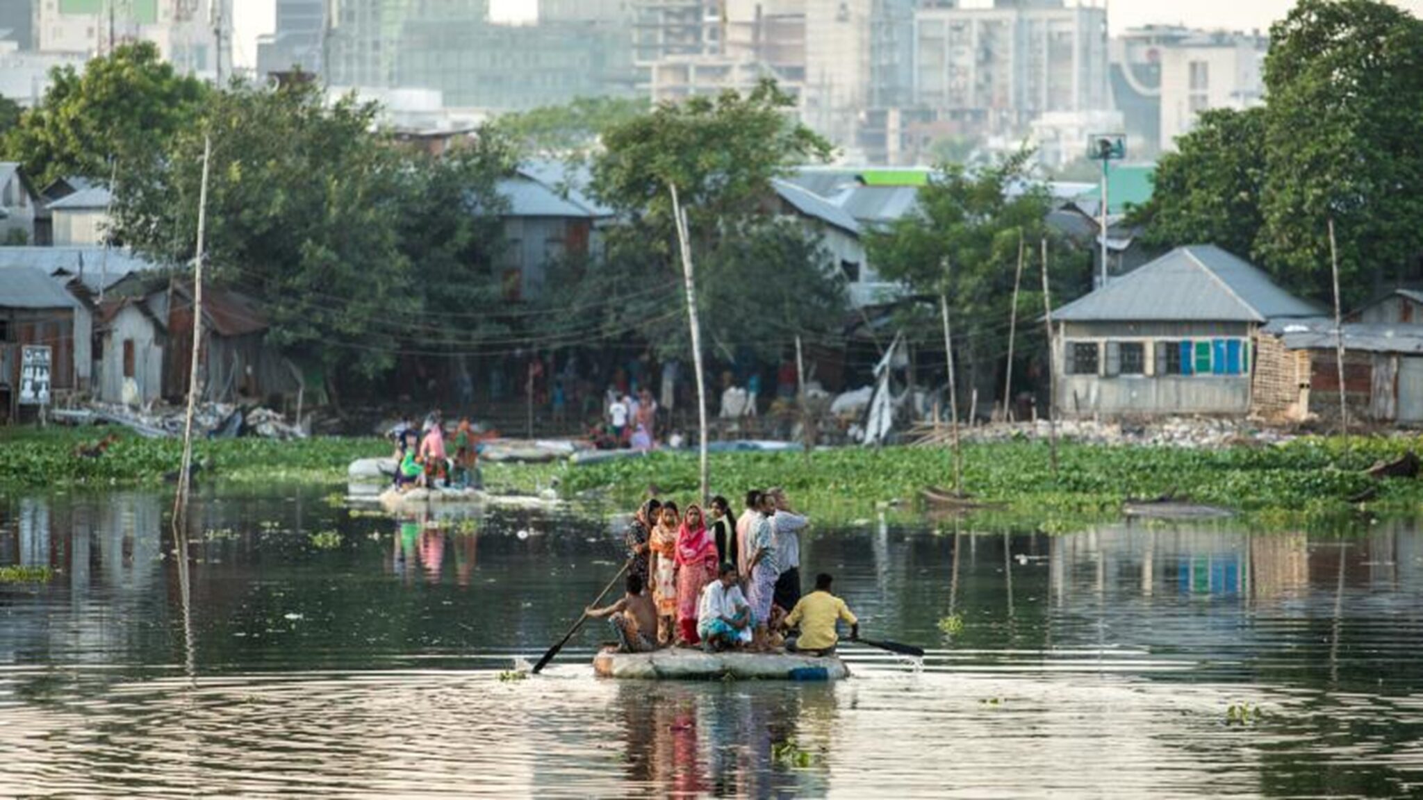 20 Major Environmental Movements of the World