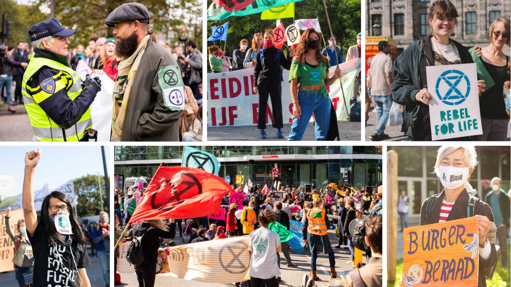 20 Major Environmental Movements of the World
