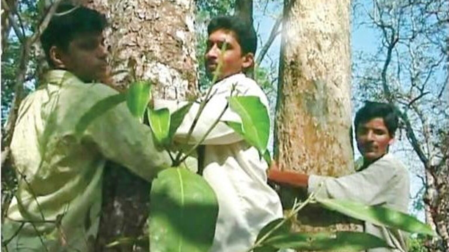 10 Major Environmental Movements of India - Interdisciplinary Science ...