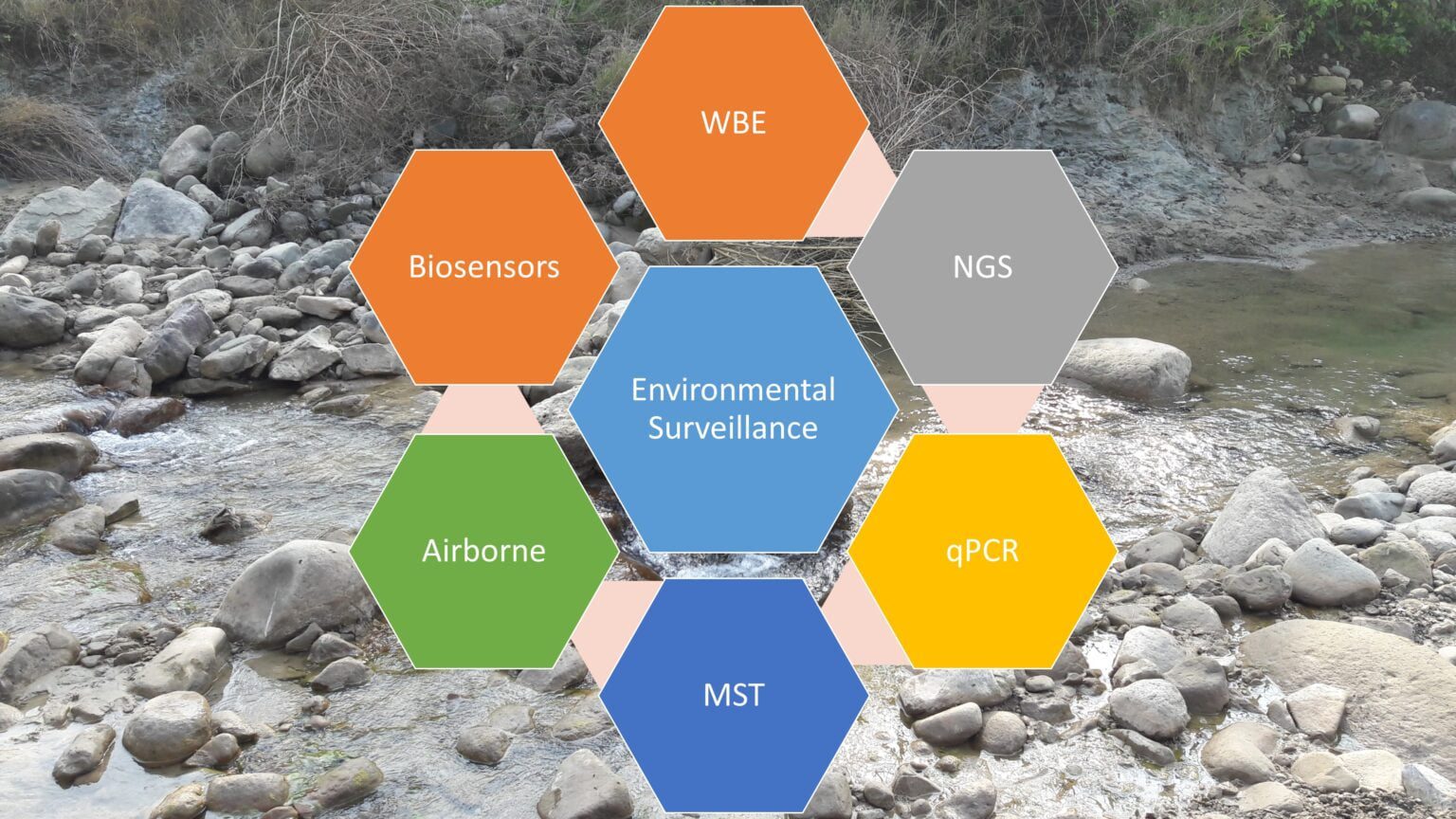 Environmental Surveillance: A Powerful Public Health Tool
